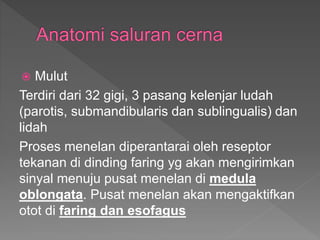 Sistem Gastrointestinal | PPTX