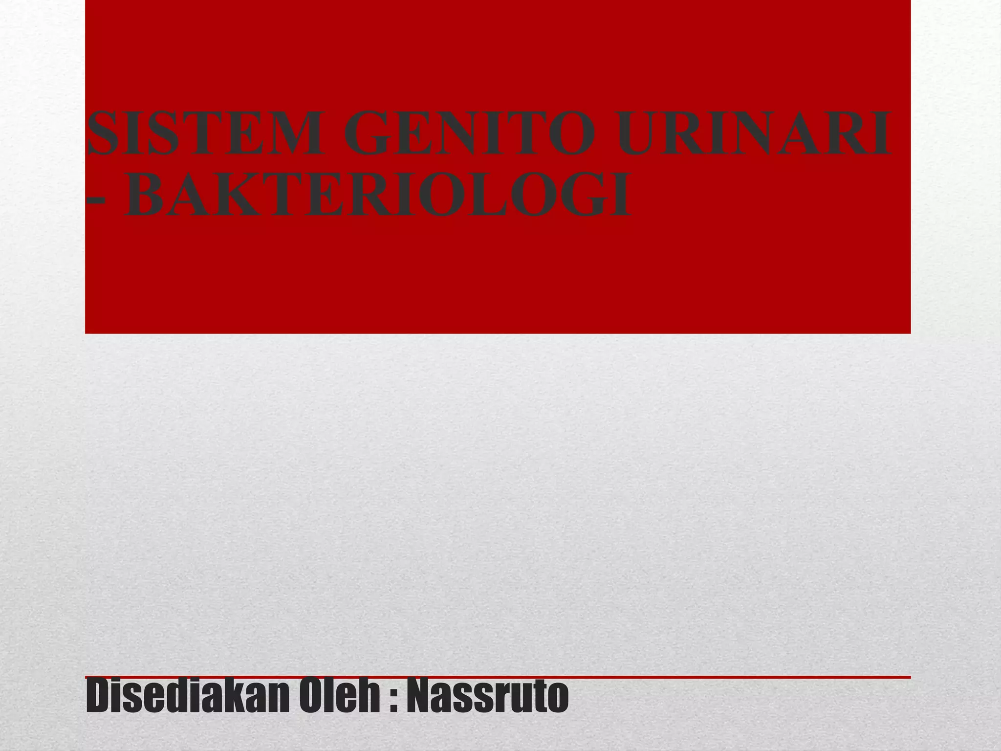 SISTEM GENITO URINARI - BAKTERIOLOGI | PPT