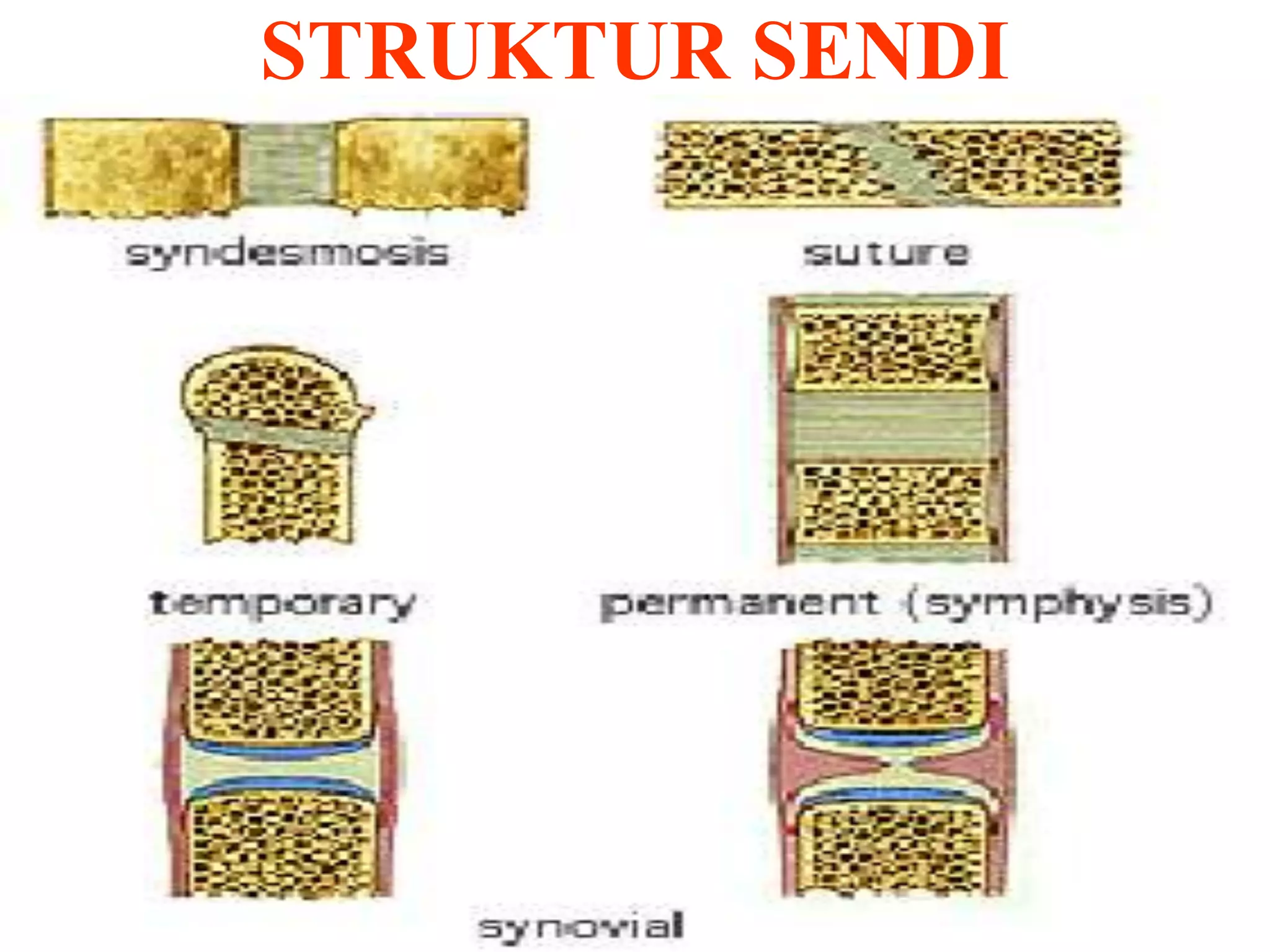 Sistem gerak | PPTX