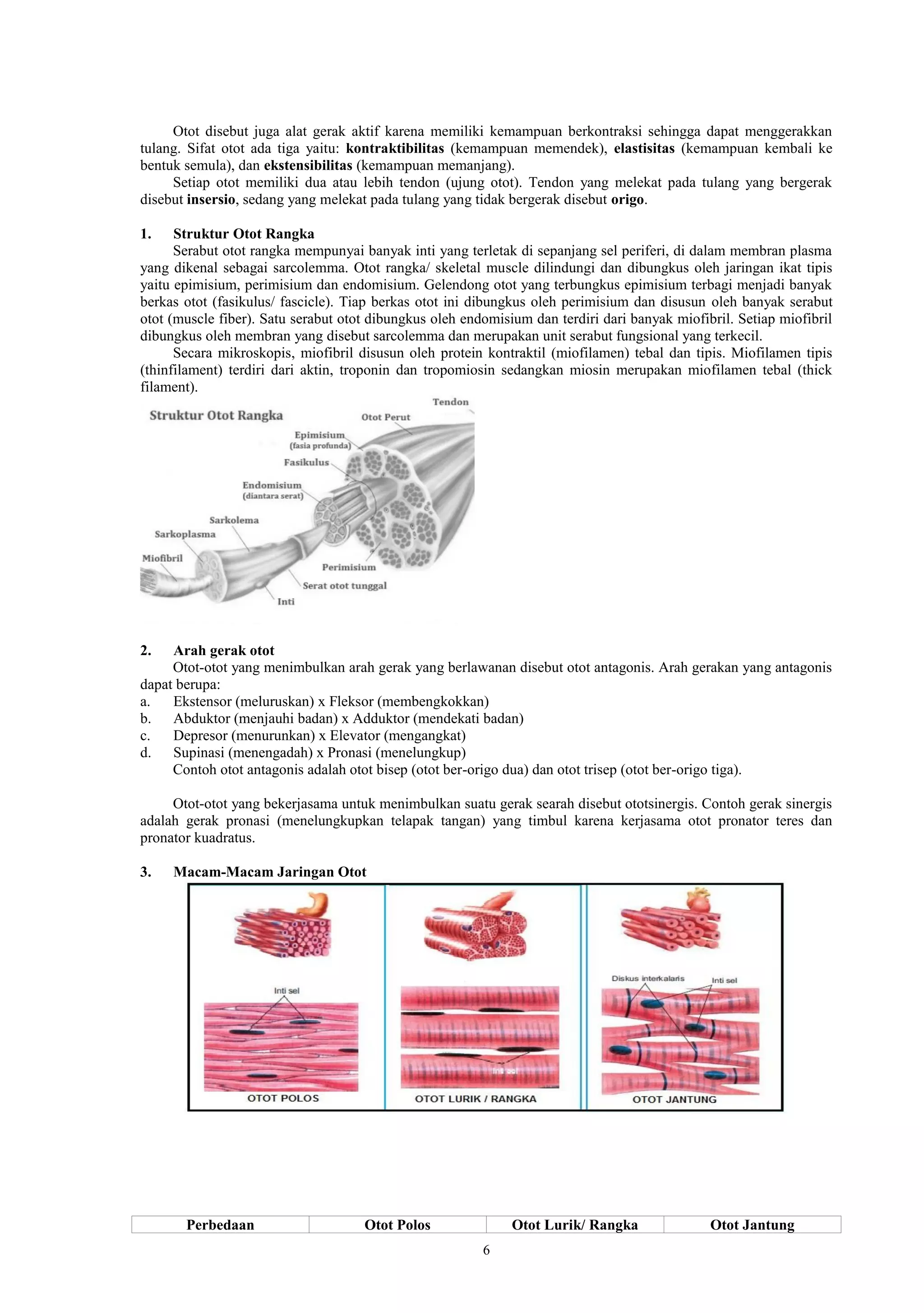 Sistem Gerak pada Manusia | PDF