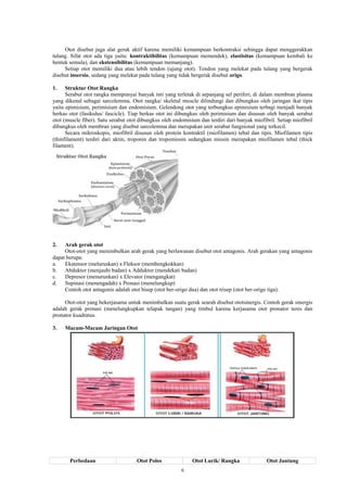 Sistem Gerak pada Manusia | PDF