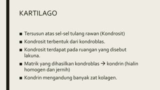 SISTEM GERAK MANUSIA | PPT