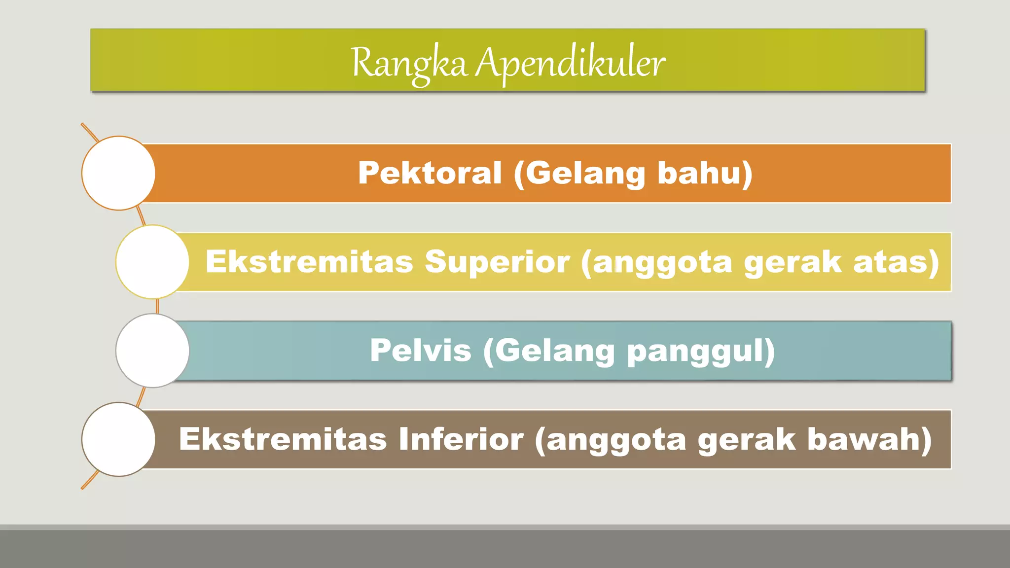 Sistem gerak | PPTX