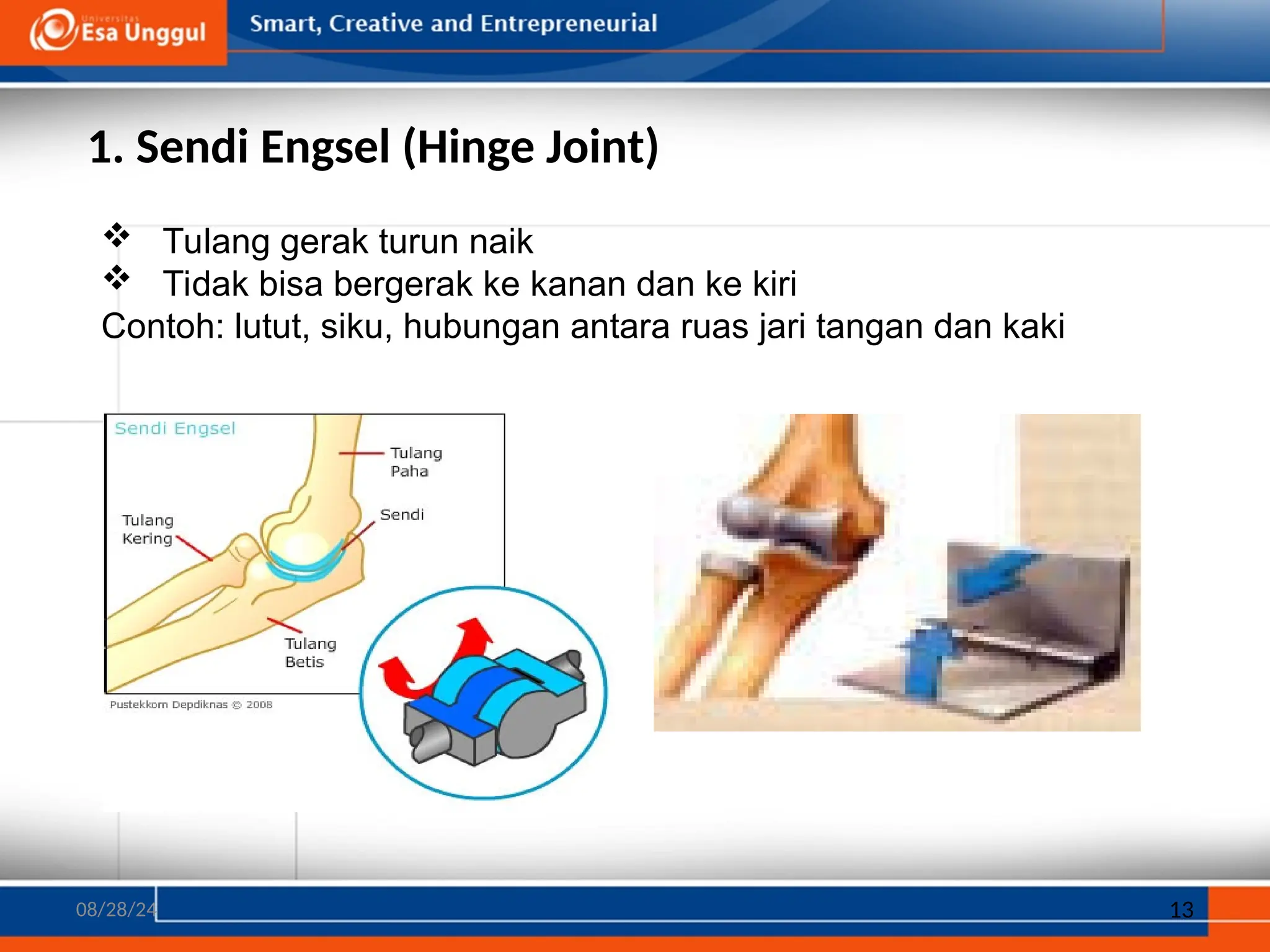 Sistem gerak pada manusia yang meliputi rangka dan sendi | PPT