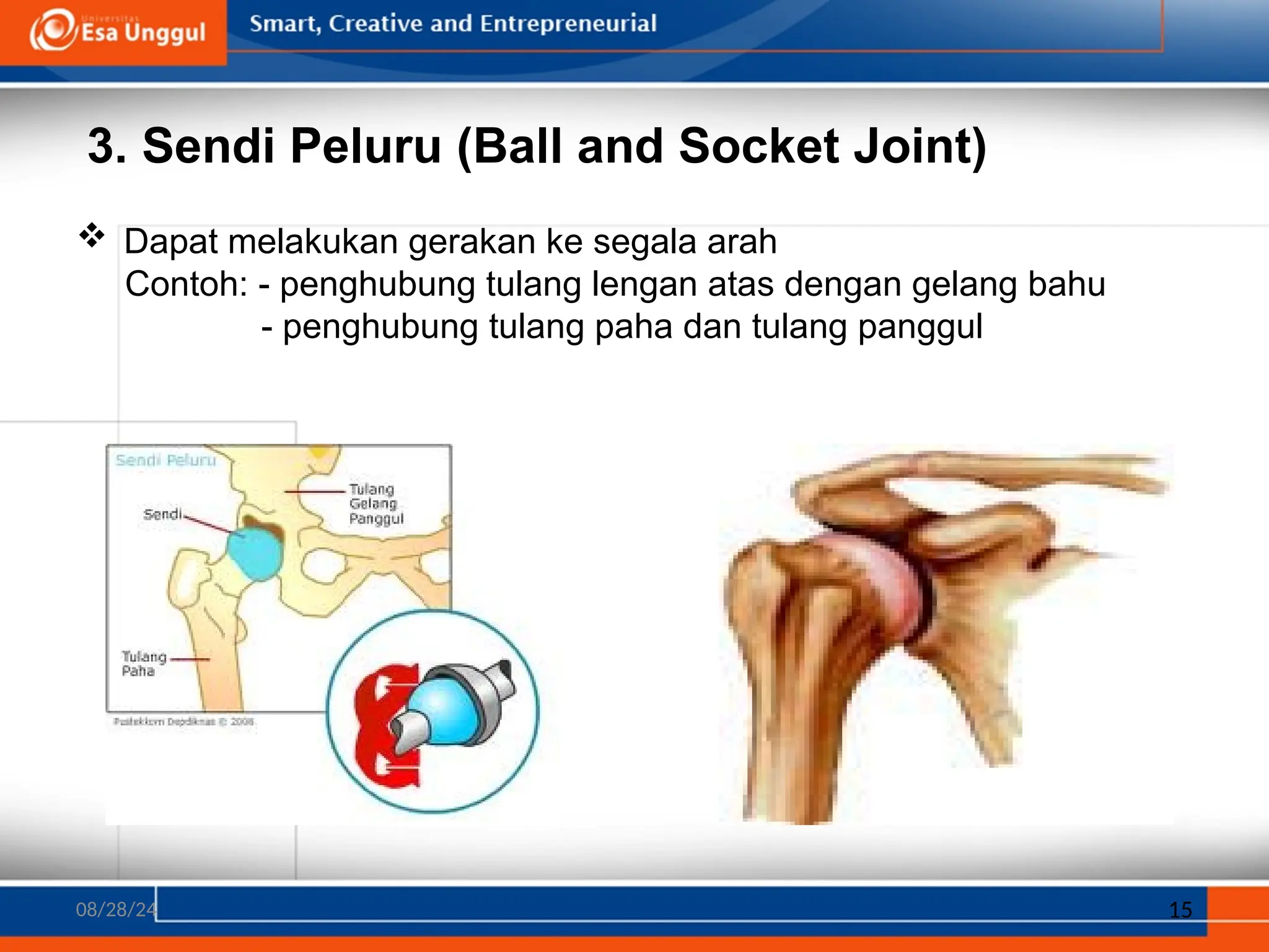 Sistem gerak pada manusia yang meliputi rangka dan sendi | PPT