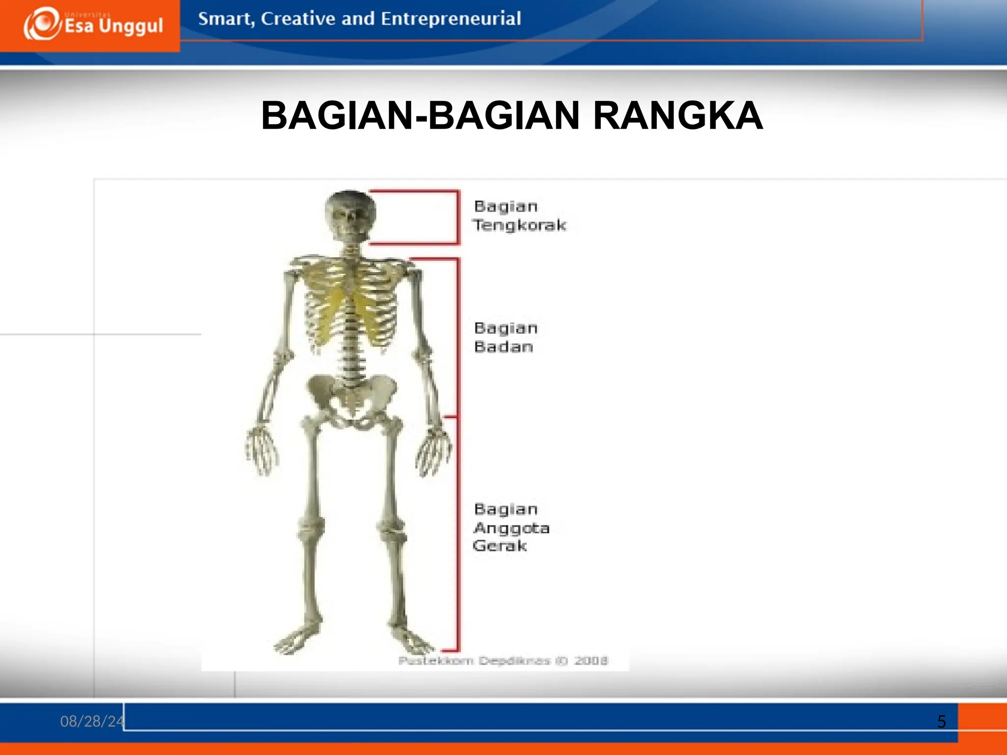 Sistem gerak pada manusia yang meliputi rangka dan sendi | PPT