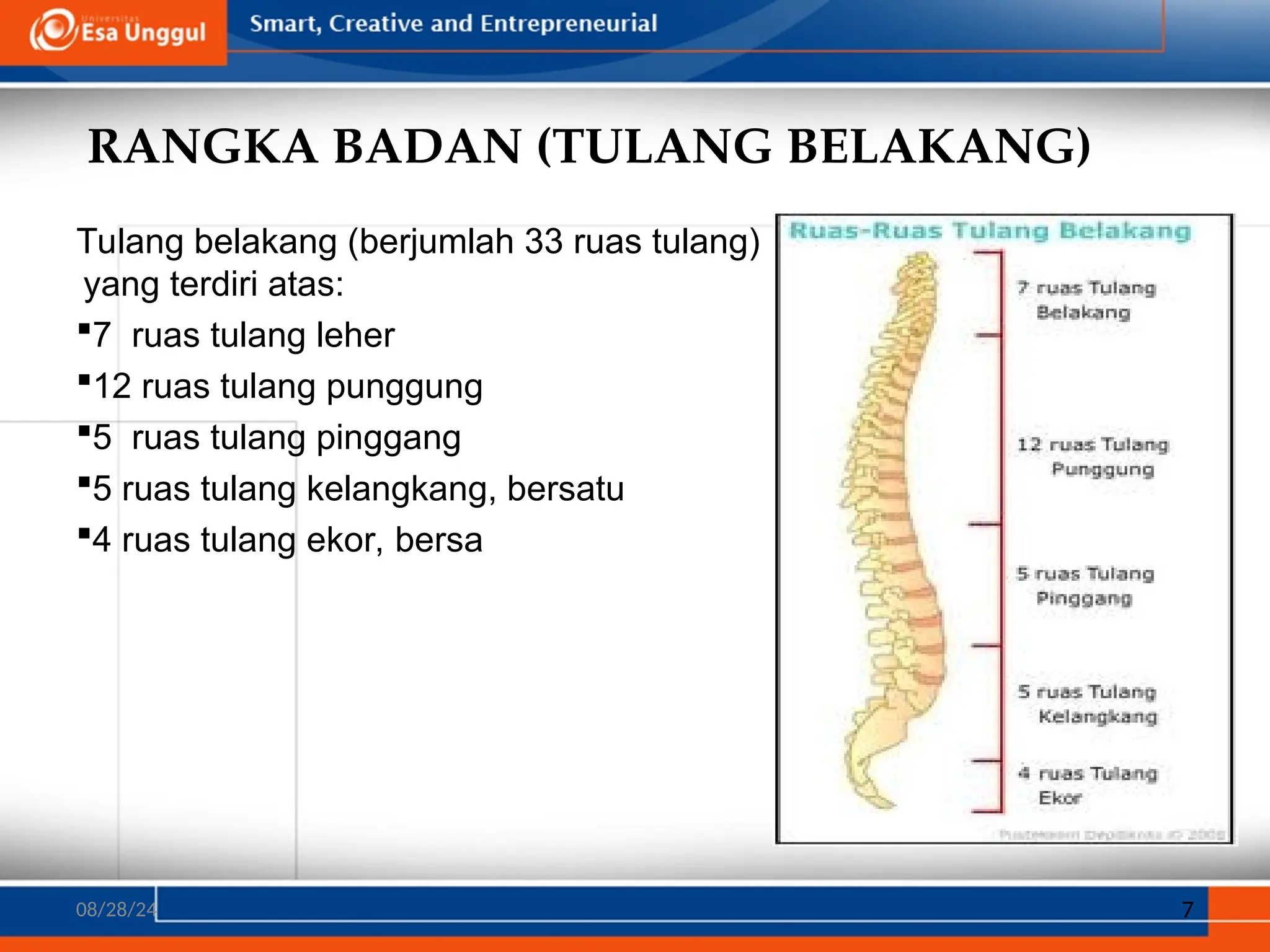 Sistem gerak pada manusia yang meliputi rangka dan sendi | PPT