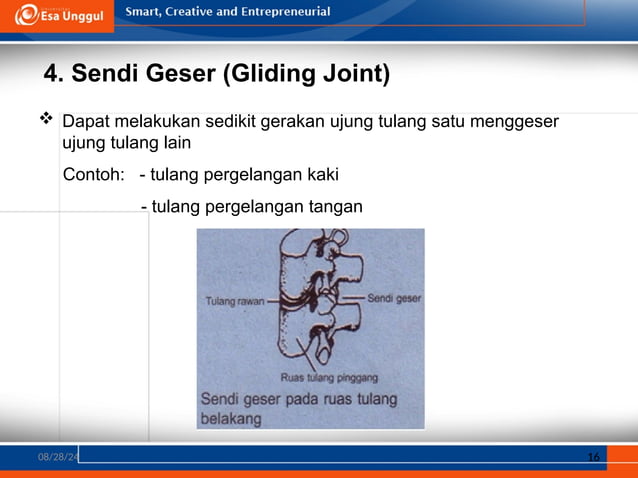Sistem gerak pada manusia yang meliputi rangka dan sendi | PPT