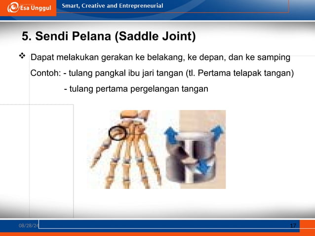 Sistem gerak pada manusia yang meliputi rangka dan sendi | PPT
