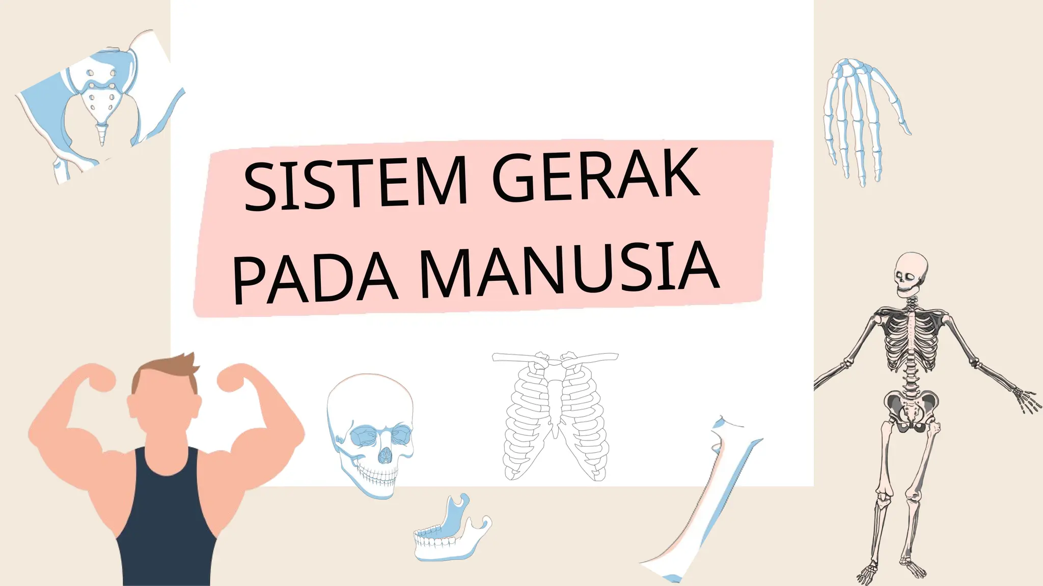 Sistem Gerak PADA MANUSIA MACAM MACAM TULANG .pptx
