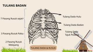 Sistem Gerak PADA MANUSIA MACAM MACAM TULANG .pptx
