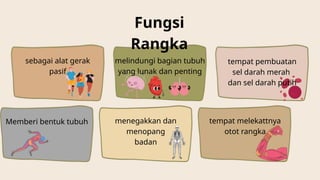 Sistem Gerak PADA MANUSIA MACAM MACAM TULANG .pptx