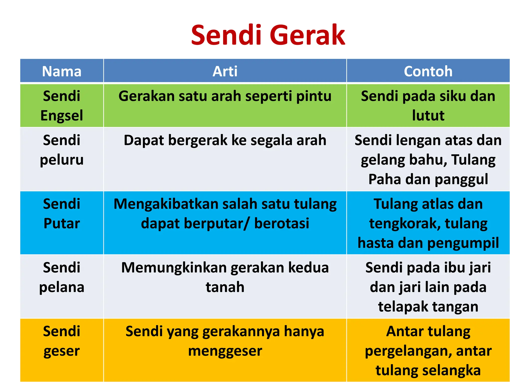 SISTEM GERAK(3).ppt