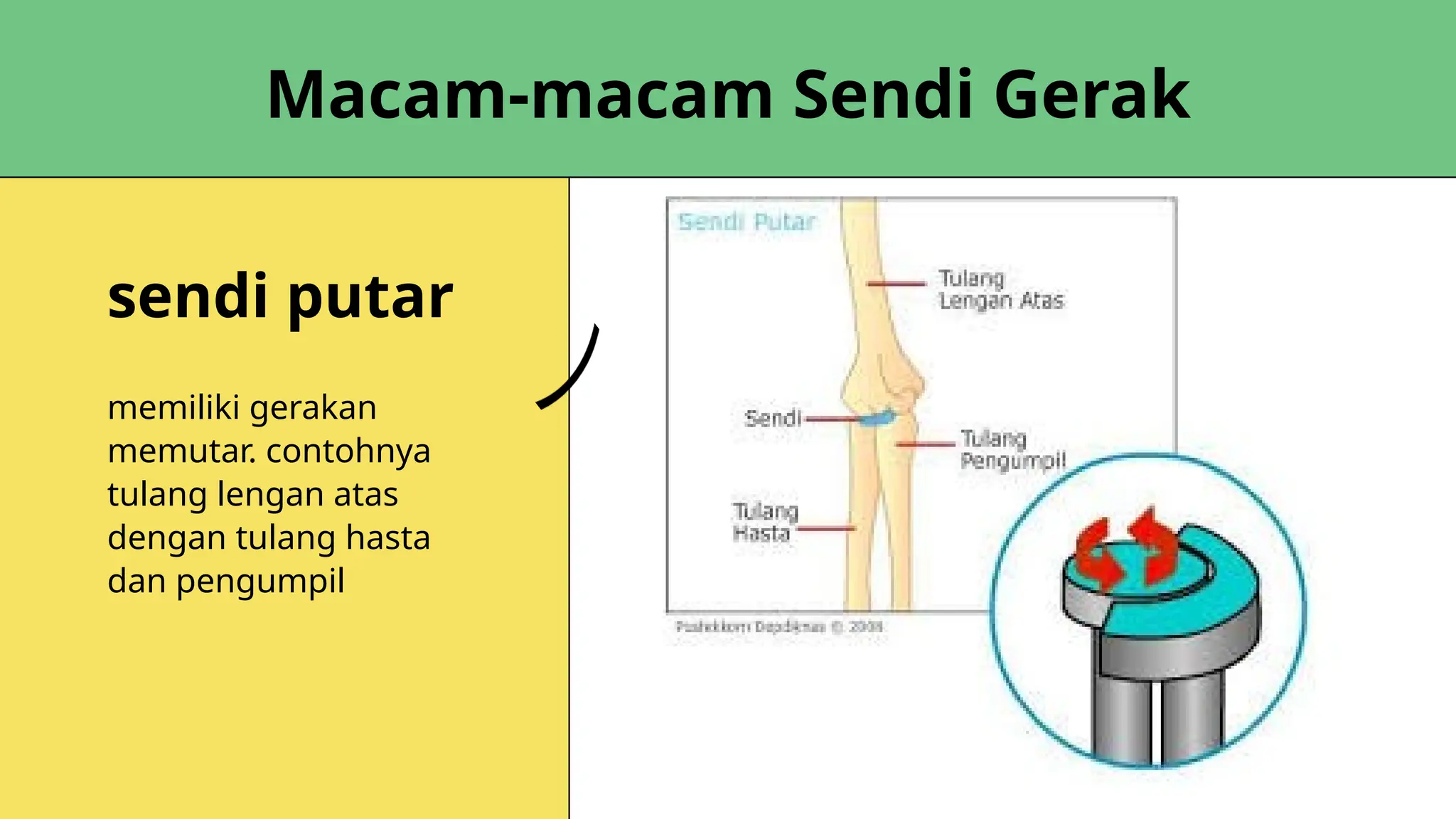 SISTEM GERAK (ARTIKULASI) pada manusia.pptx