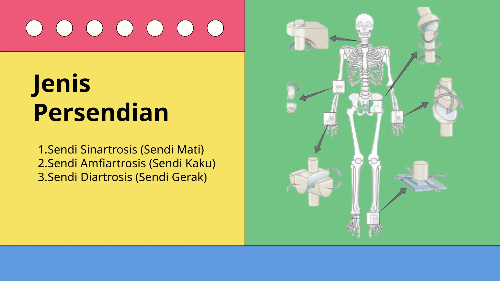 SISTEM GERAK (ARTIKULASI) pada manusia.pptx
