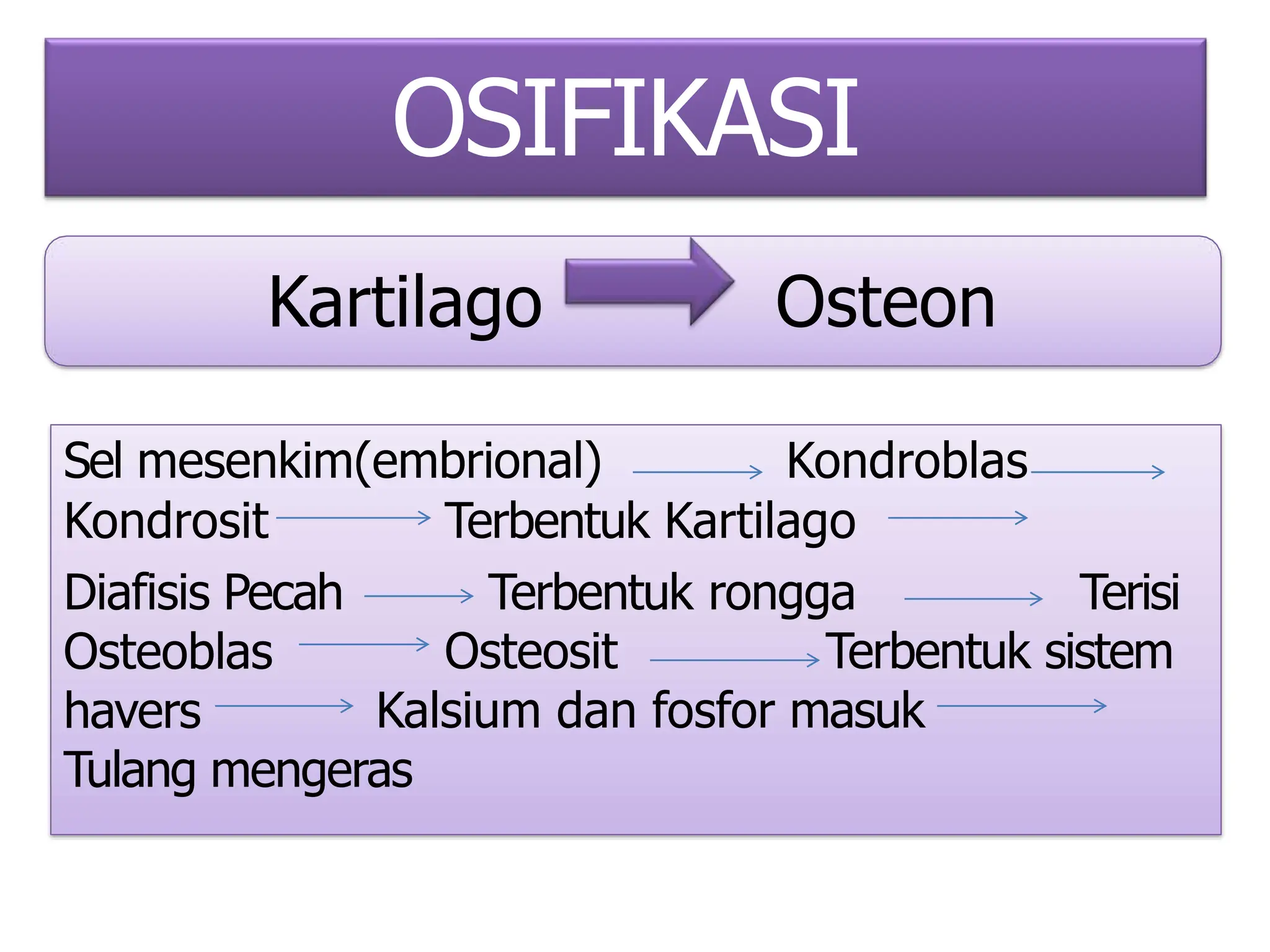 Sistem Gerak SMA Kelas 11 Semester 1.pptx
