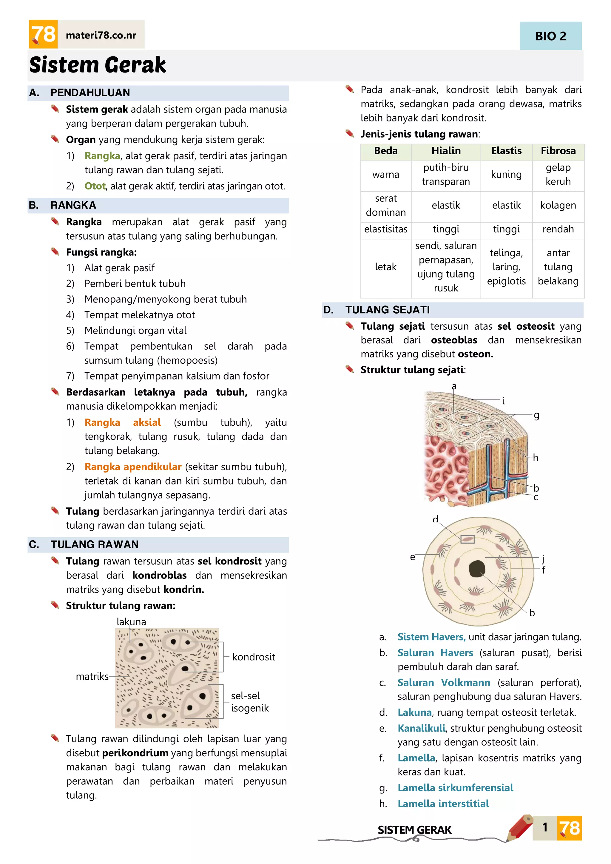 MATERI Sistem gerak KELAS X SMA | PDF