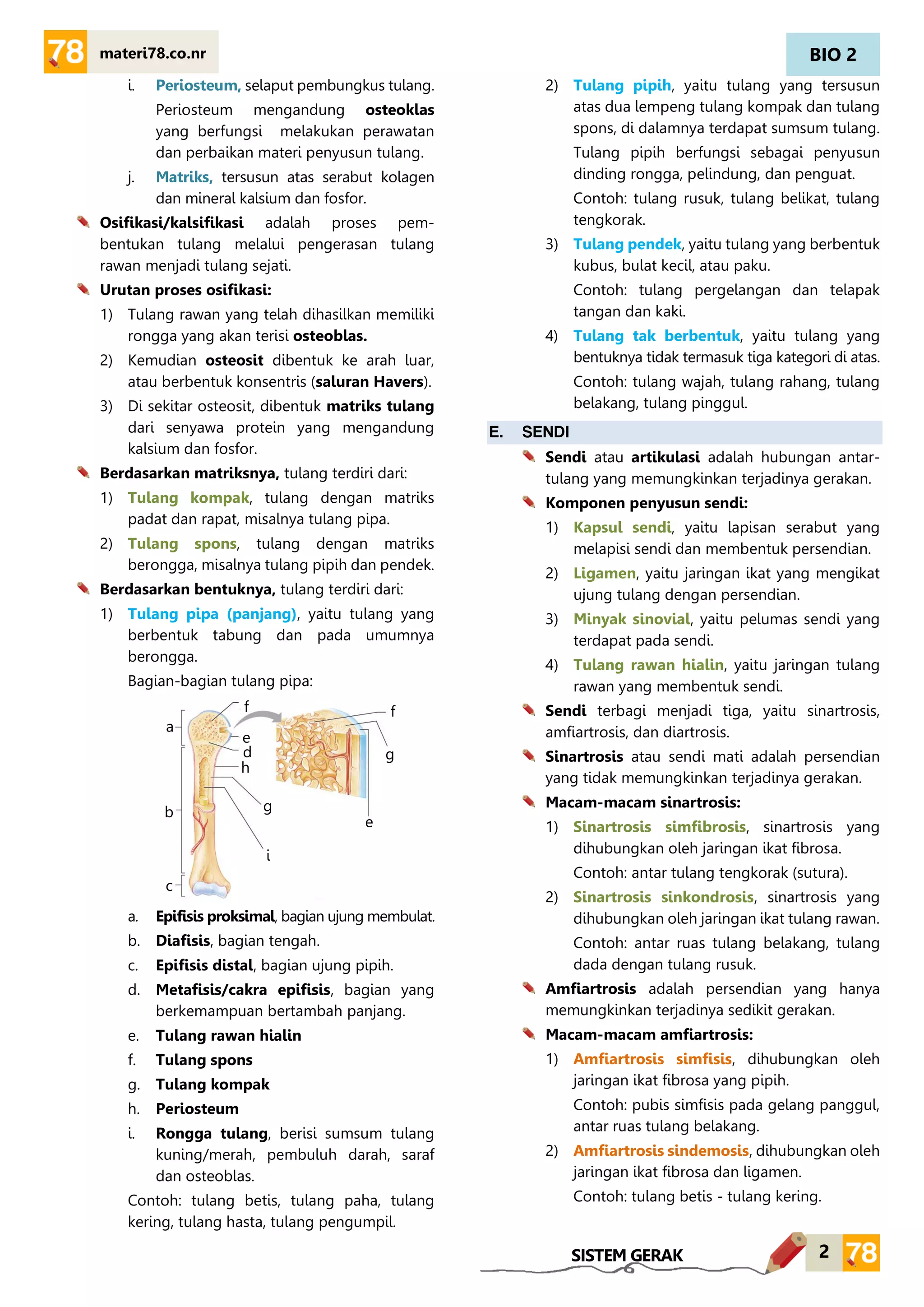 MATERI Sistem gerak KELAS X SMA | PDF