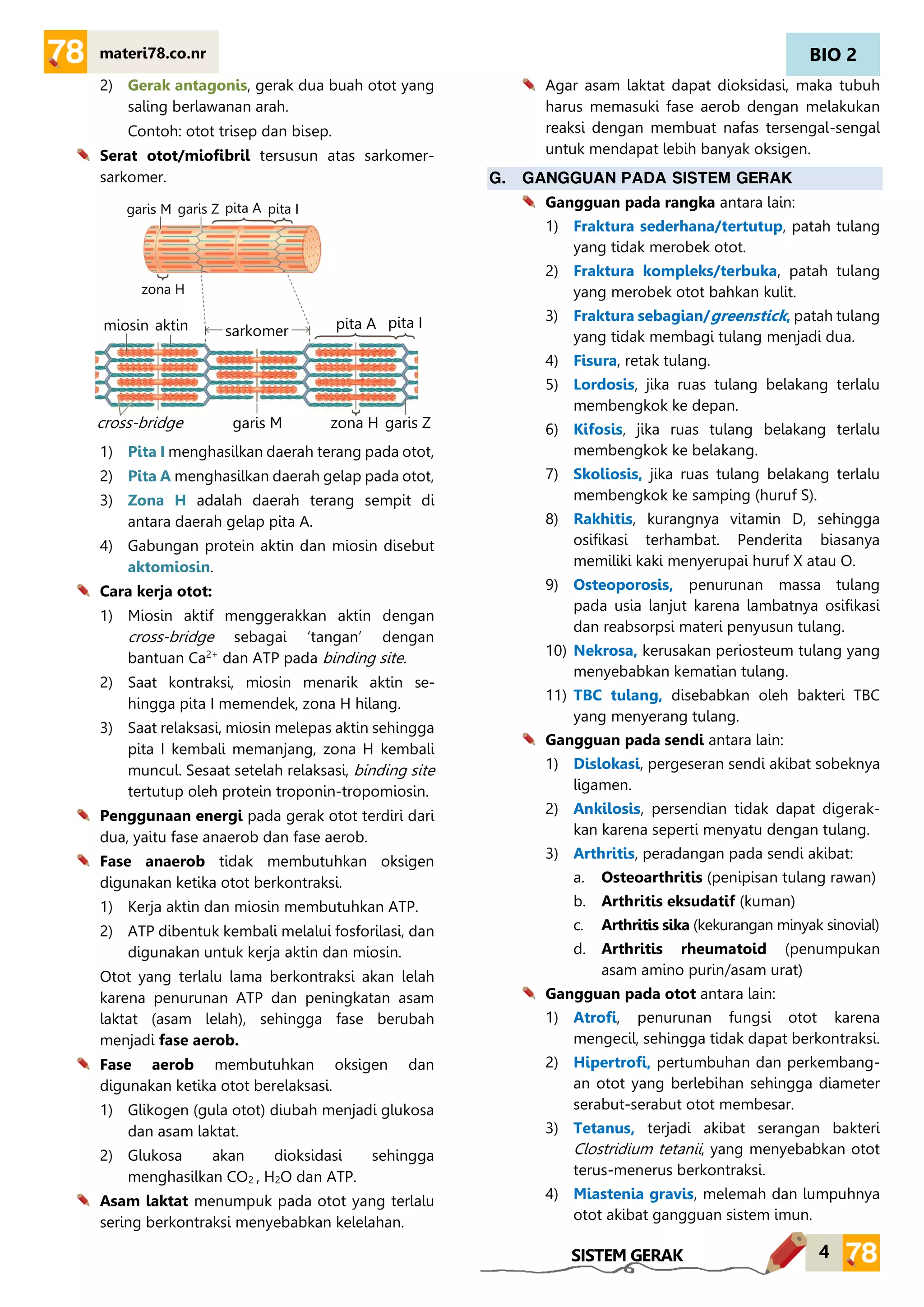 MATERI Sistem gerak KELAS X SMA | PDF