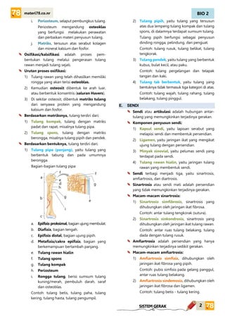 MATERI Sistem gerak KELAS X SMA | PDF