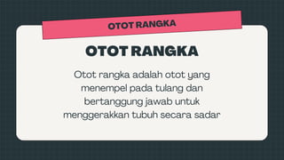 SISTEM GERAK PADA MANUSIA (TULANG, OTOT, DAN SENDI) | PDF