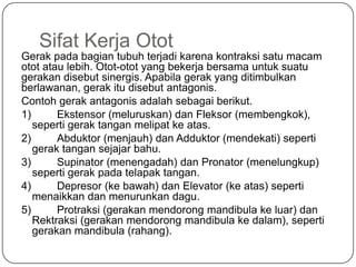 Sistem gerak dan tulang | PPTX