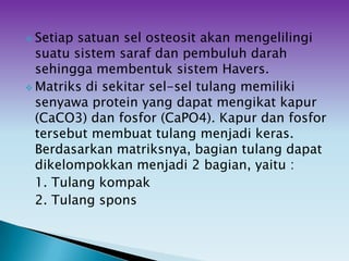 Sistem gerak eko puek | PPTX