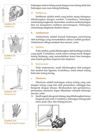 Sistem Gerak Pada Manusia | PDF