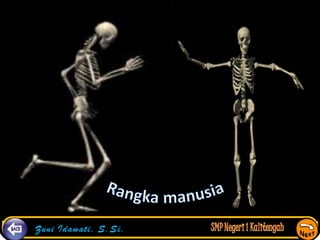 Sistem gerak manusia | PPT