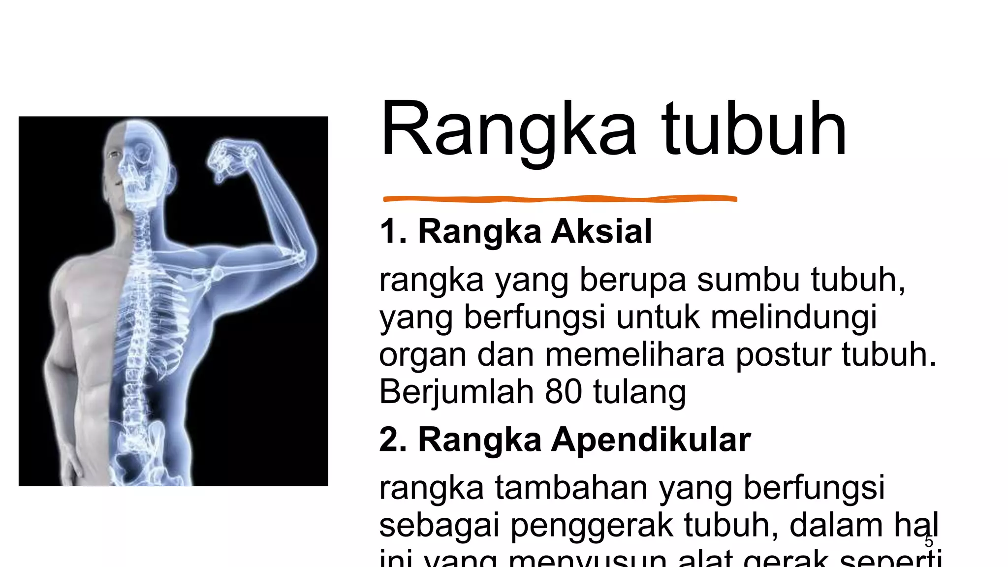 SISTEM GERAK MANUSIA.pptx