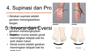 SISTEM GERAK MANUSIA.pptx