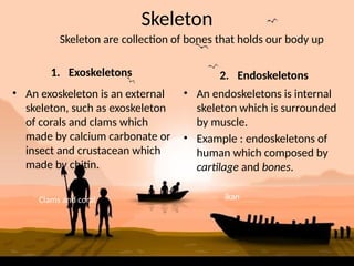 Materi Sistem Gerak Manusia Kelas VIII SMP | PPT