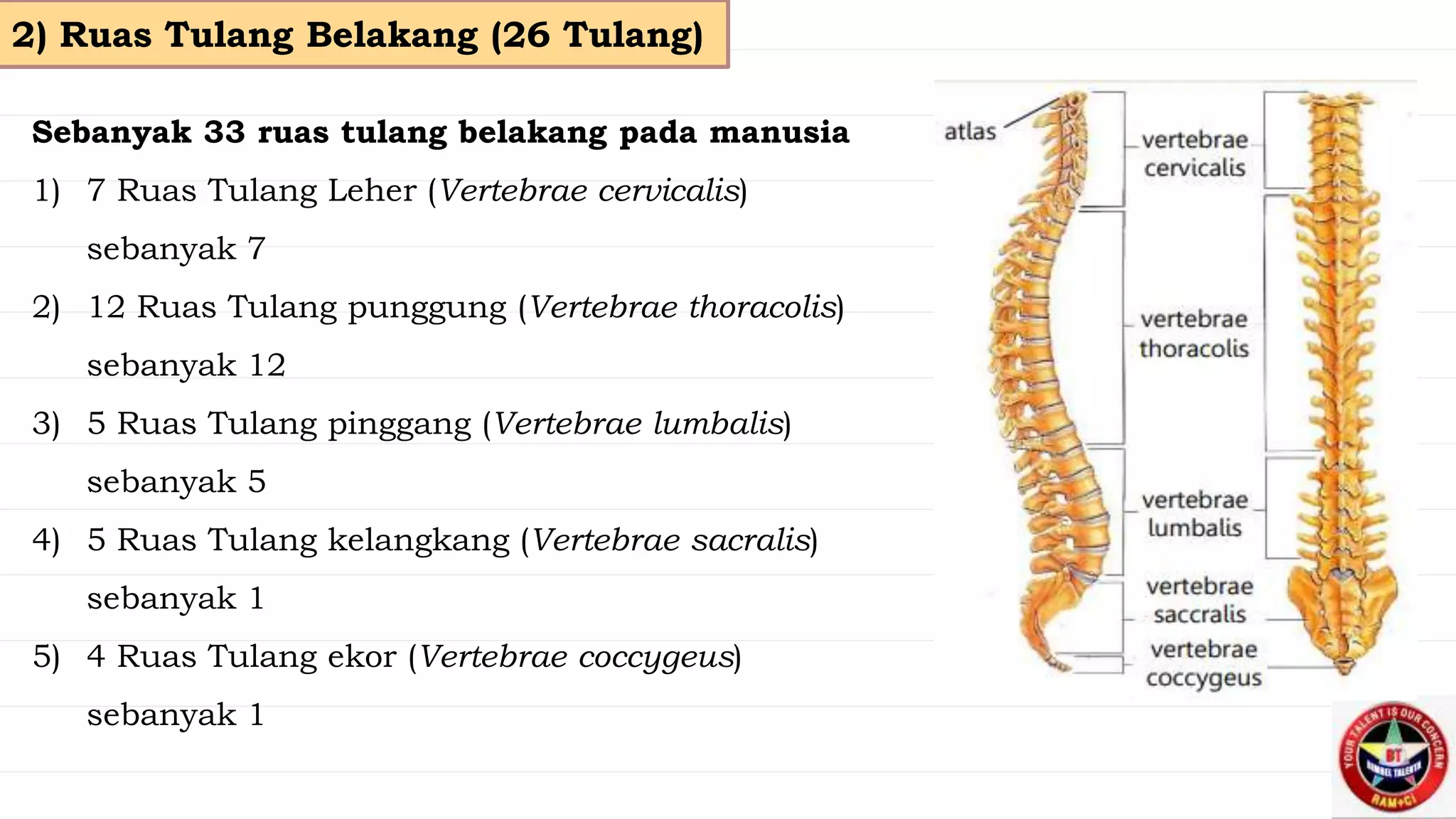 SISTEM GERAK MANUSIA I RANGKA I BIOLOGI I XI SMA.pptx