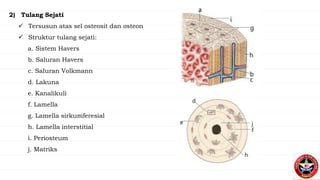 SISTEM GERAK MANUSIA I RANGKA I BIOLOGI I XI SMA.pptx