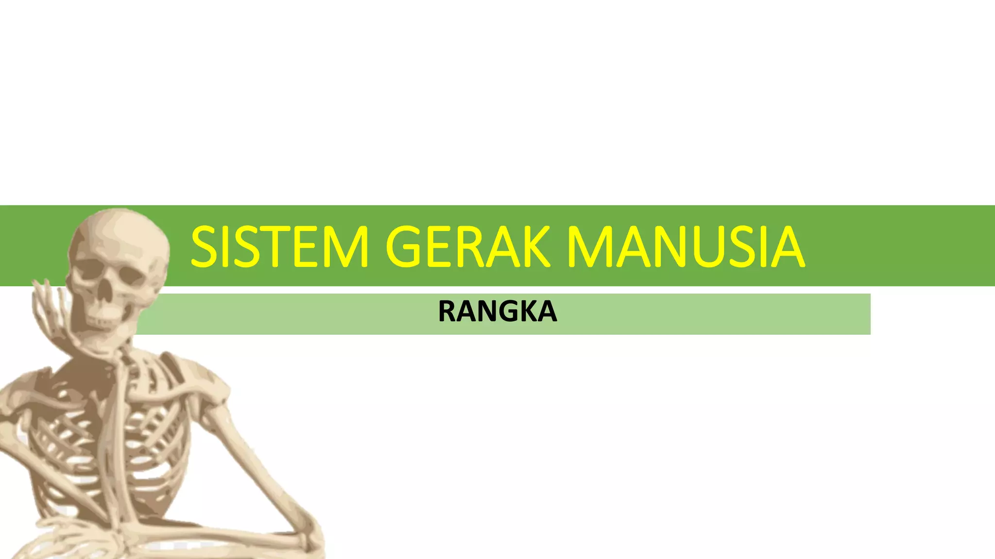 SISTEM GERAK MANUSIA RANGKA.pptx
