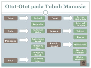 Sistem gerak (otot) | PPTX