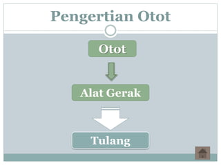 Sistem gerak (otot) | PPTX