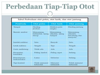 Sistem gerak (otot) | PPTX