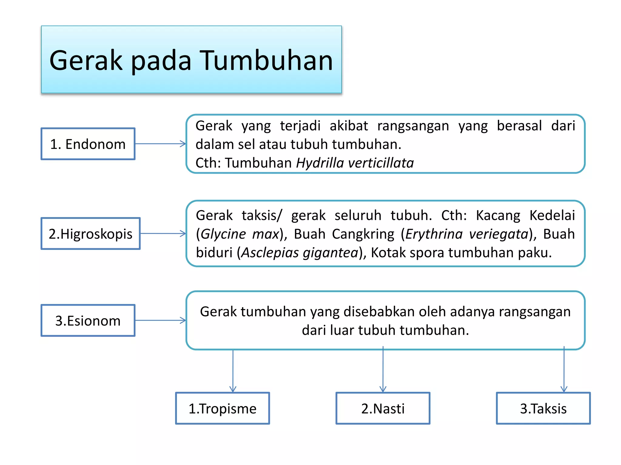 Sistem gerak pada hewan dan tumbuhan | PPT