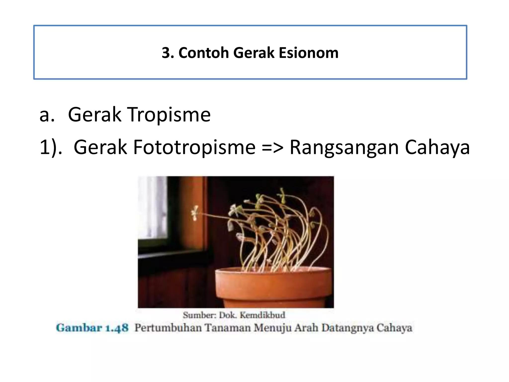 Sistem gerak pada hewan dan tumbuhan | PPT