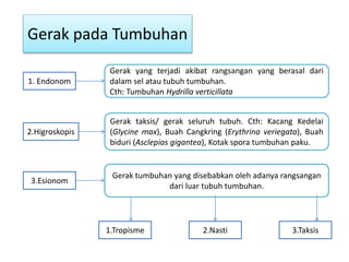 Sistem gerak pada hewan dan tumbuhan | PPT