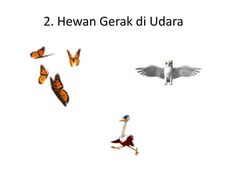 Sistem gerak pada hewan dan tumbuhan | PPT