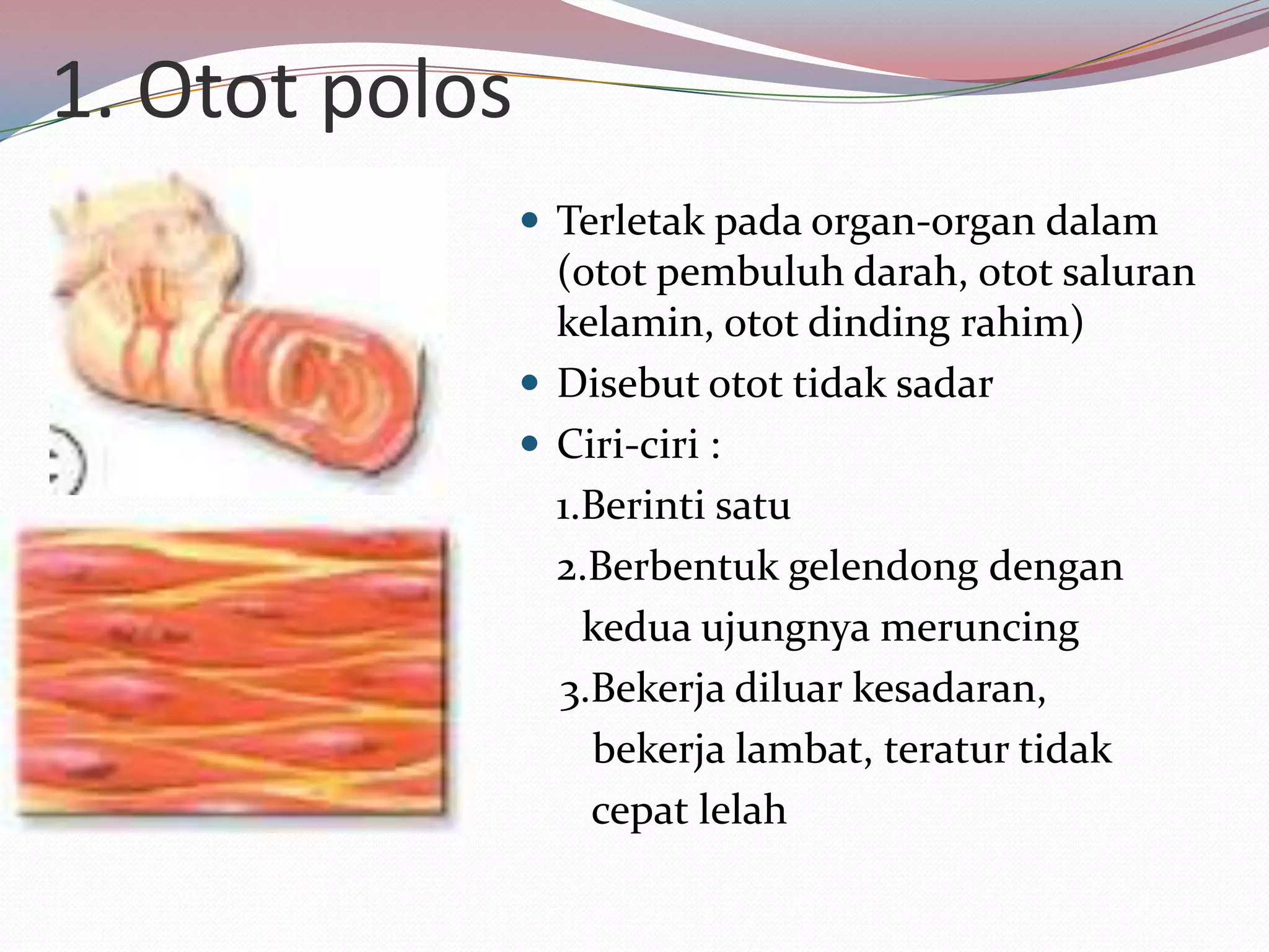 Sistem gerak pada manusia | PPTX