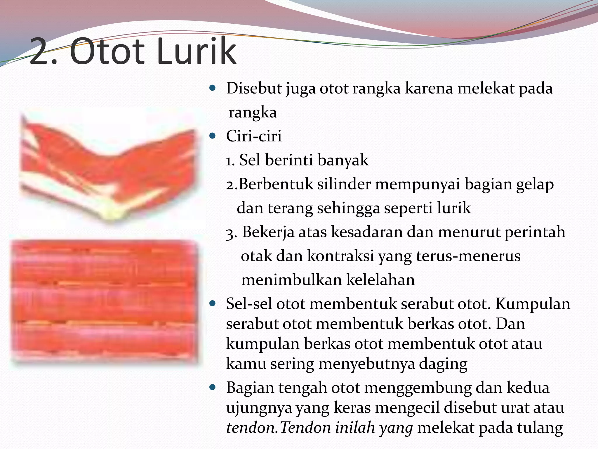 Sistem gerak pada manusia | PPTX