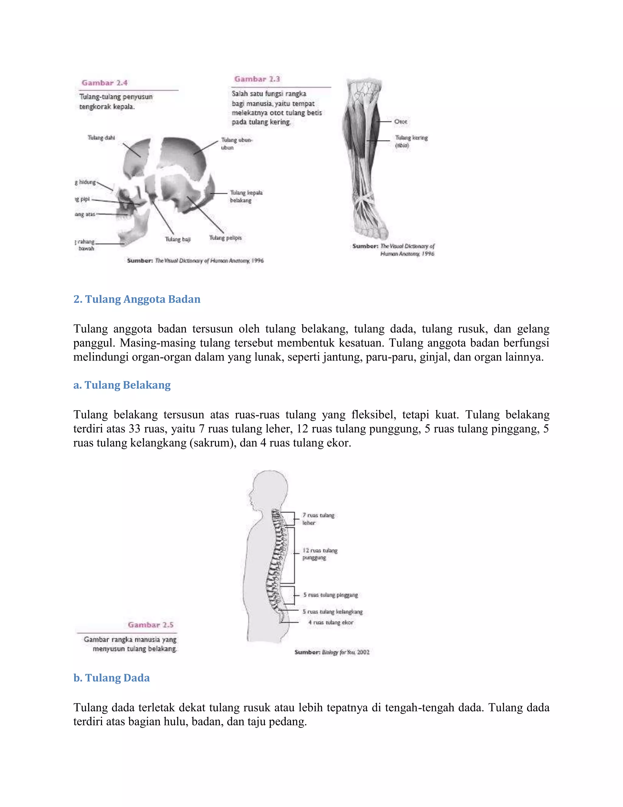 Sistem gerak pada manusia | DOCX