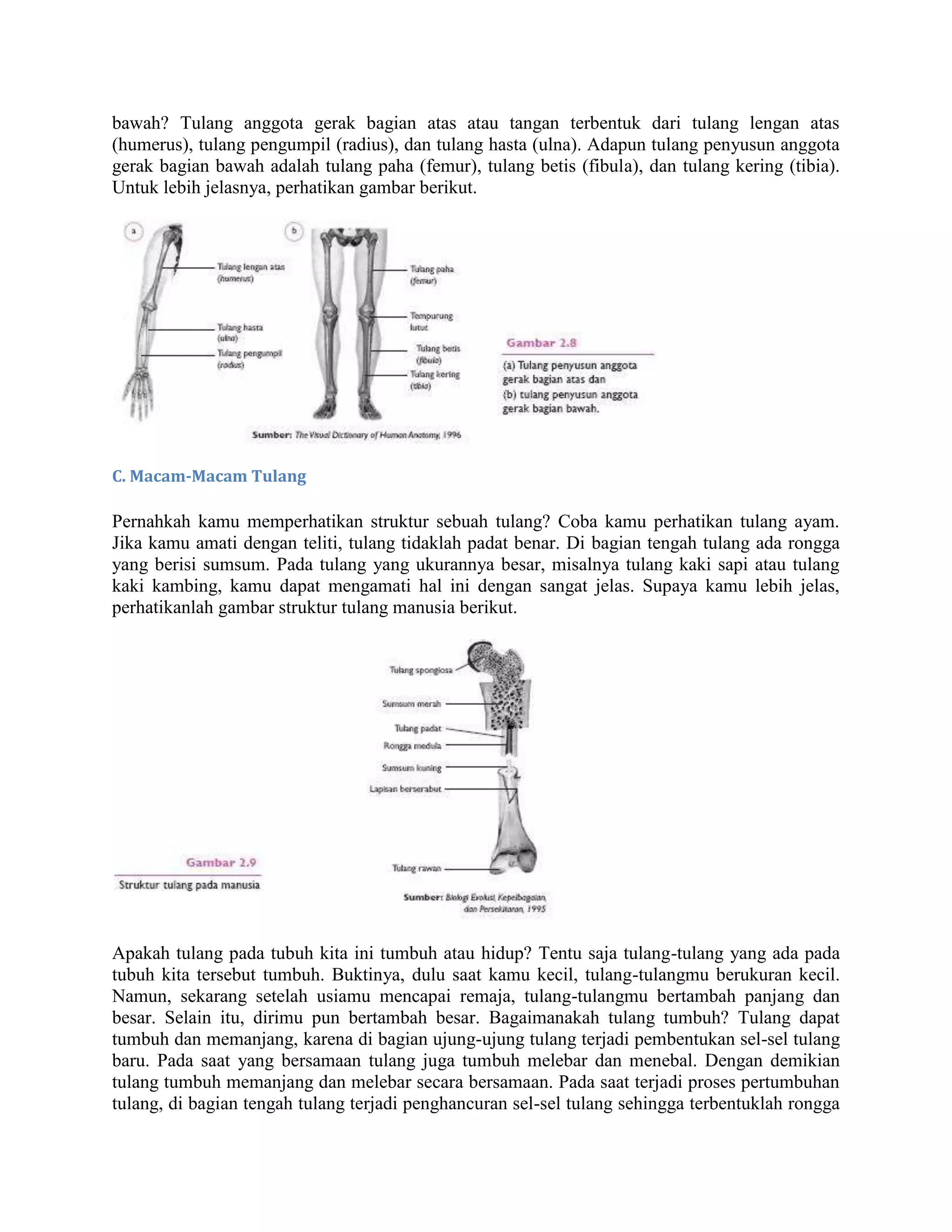 Sistem gerak pada manusia | DOCX