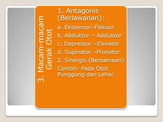 Sistem gerak pada manusia | PPTX