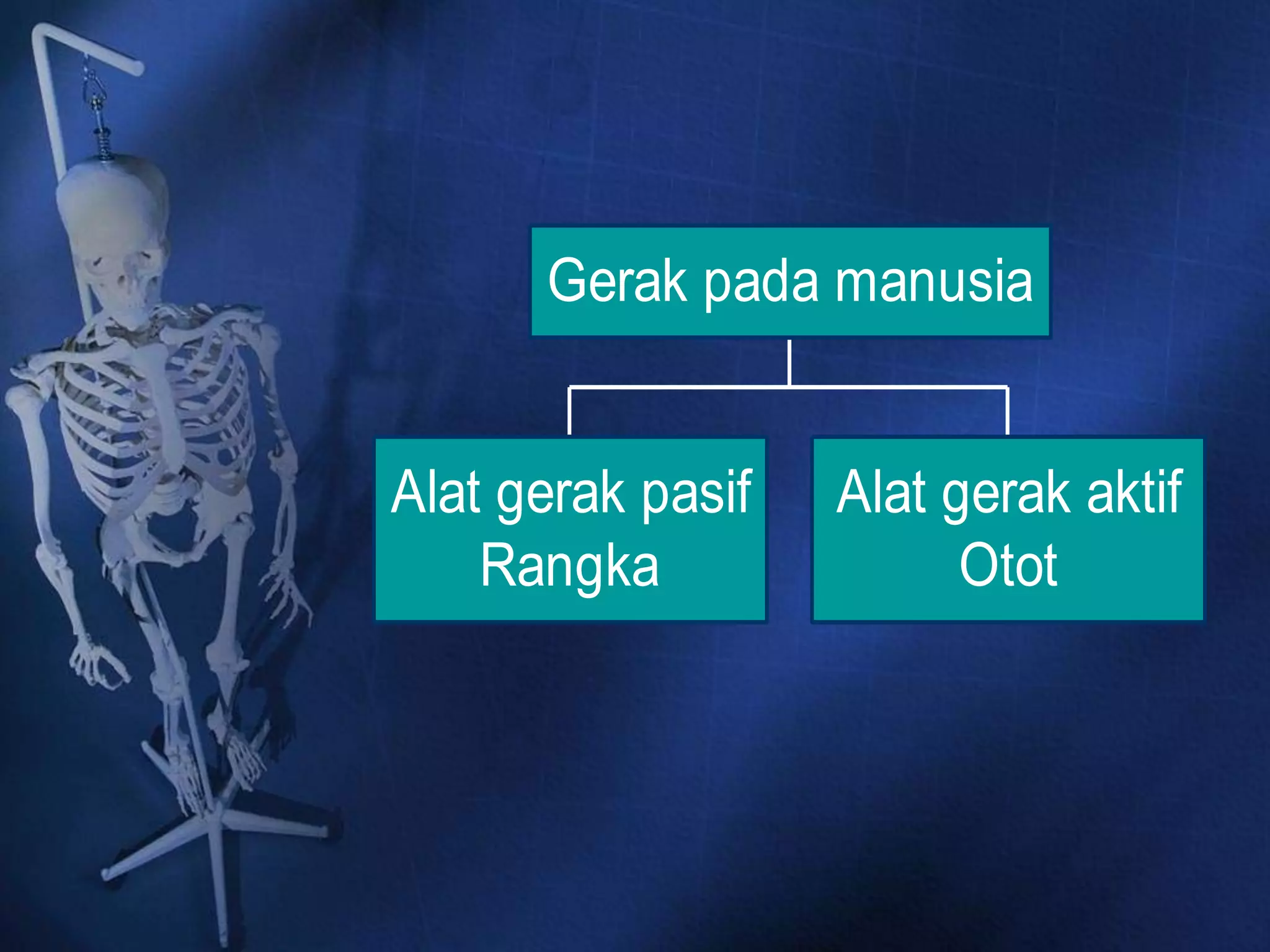 Sistem gerak pada manusia | PPTX