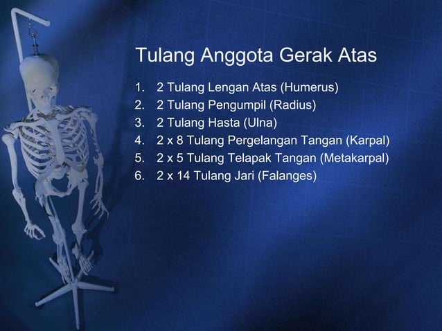 Sistem gerak pada manusia | PPTX