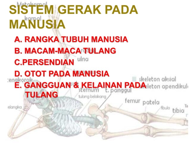 Sistem gerak pada manusia | PPTX
